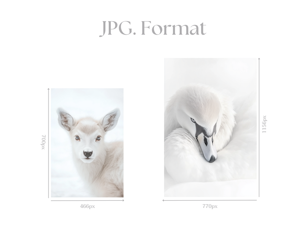 12 Aesthetic Chic Feminine Neutral Tones Lifestyle Stock Image ...