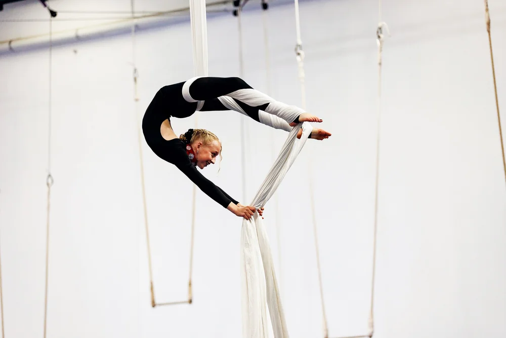 Aerial Basics — The Circus Spot