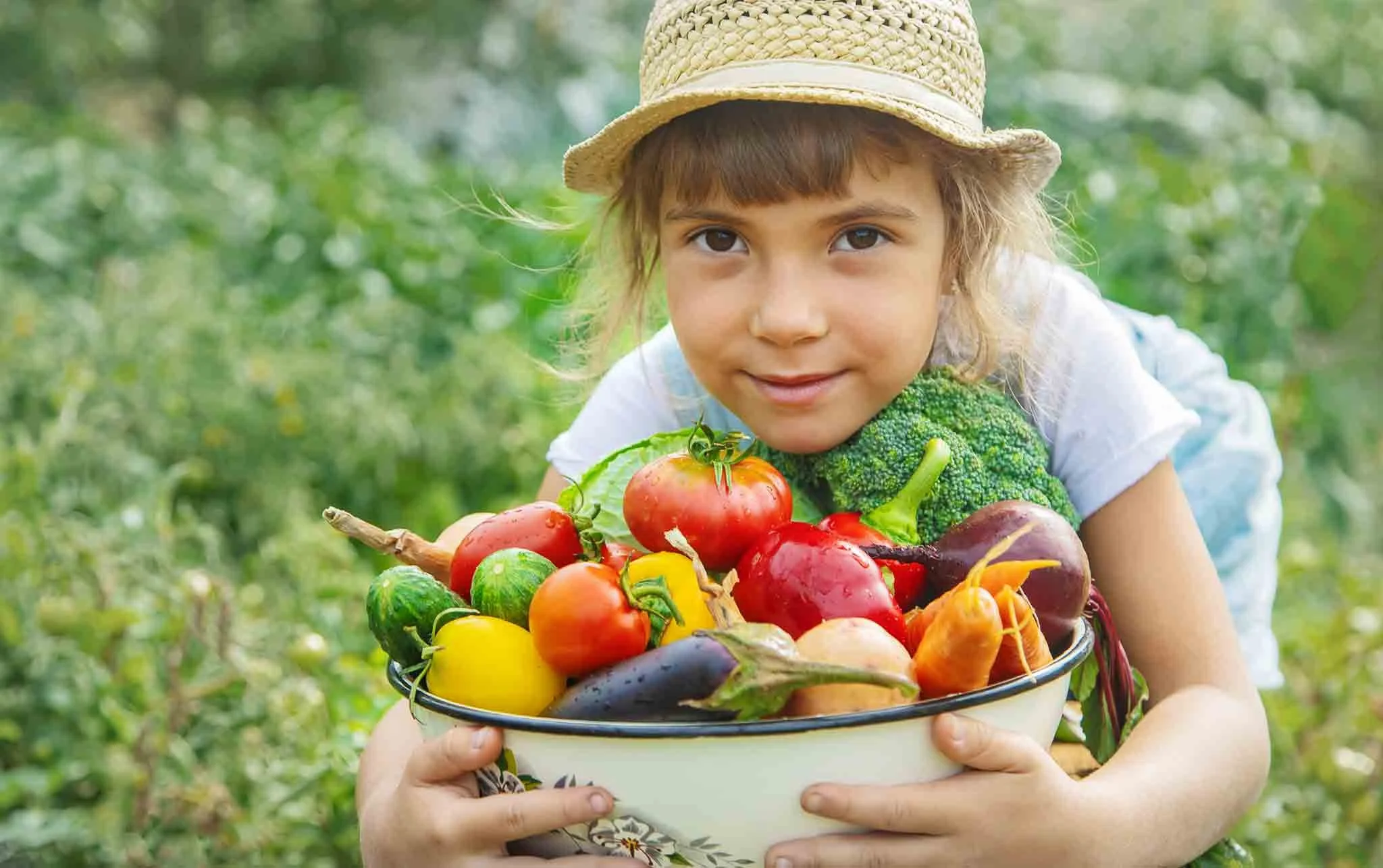 Protection des aliments