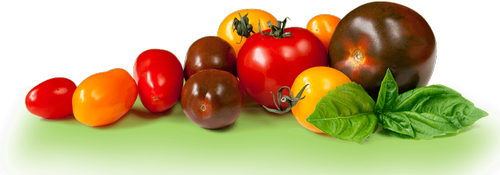 Protégeons nos aliments