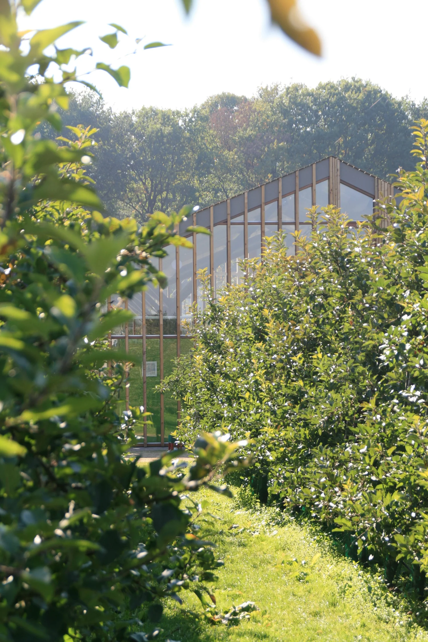 Philips Fruittuin - home