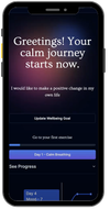 Calming Down - staff wellness app — Digital Hub