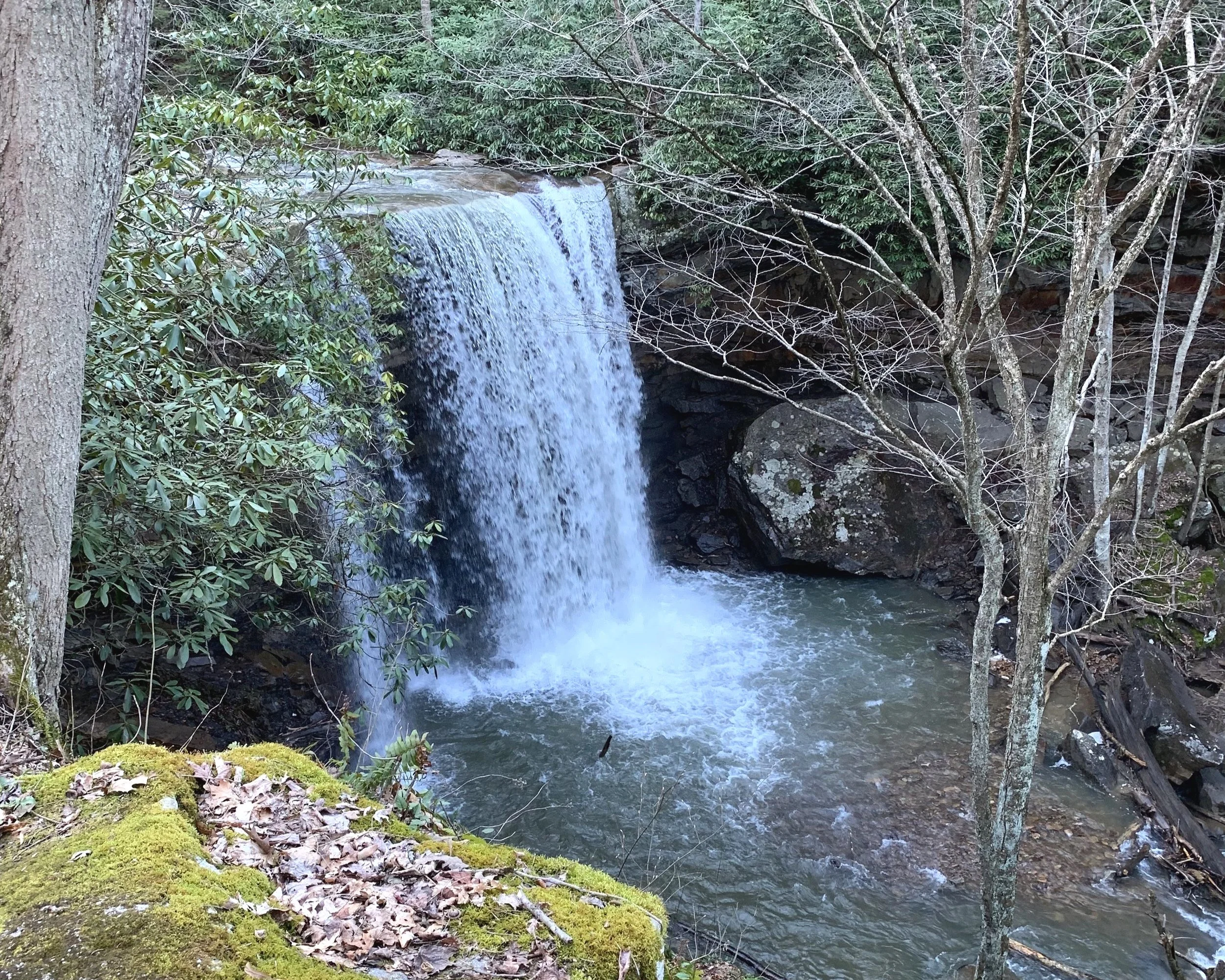 Programs and Events — OIC