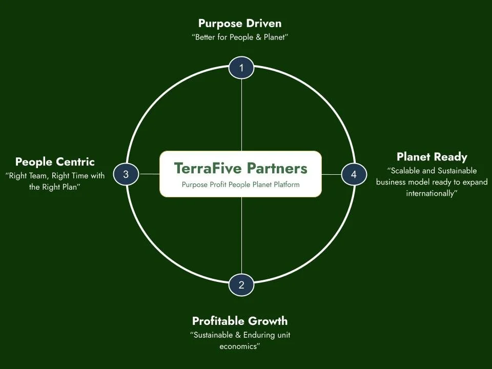 Our Approach — TerraFive