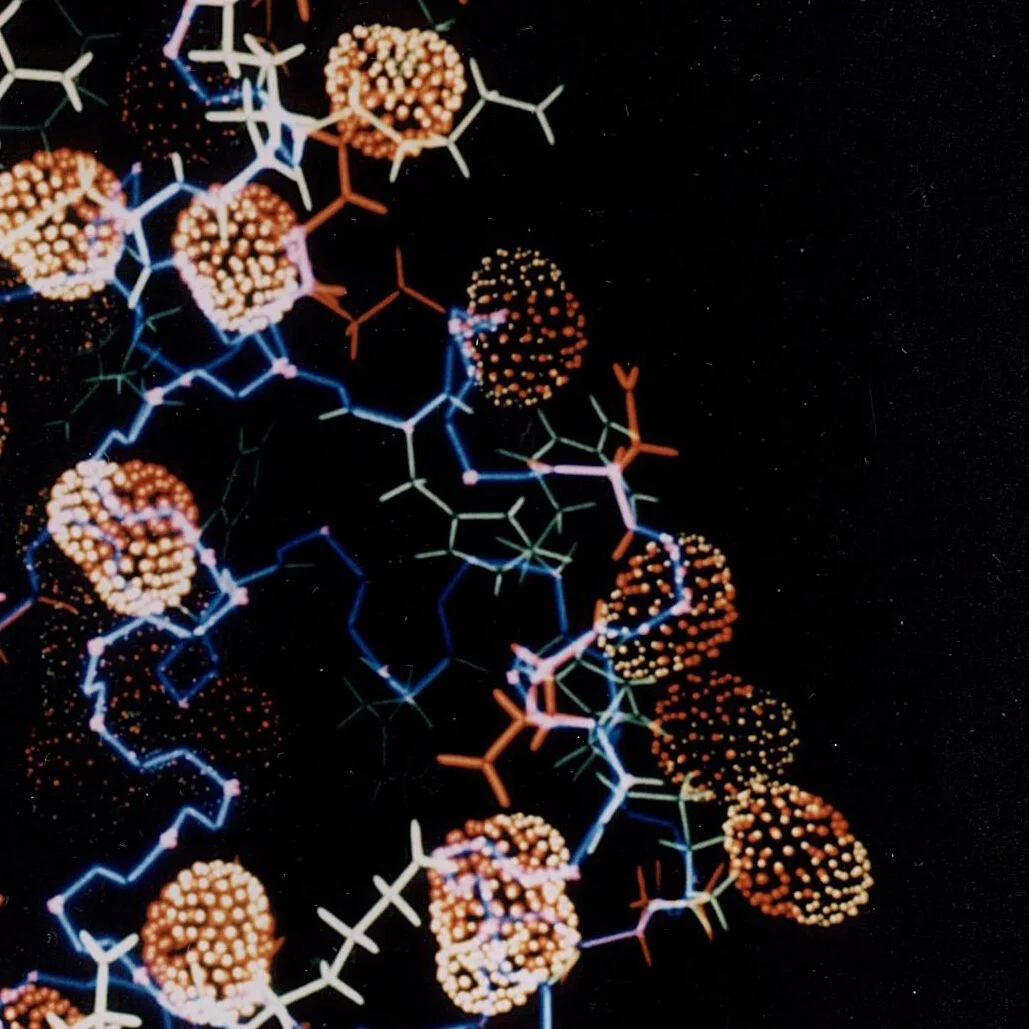 Blue Nyle Therapy Body-Led Healing