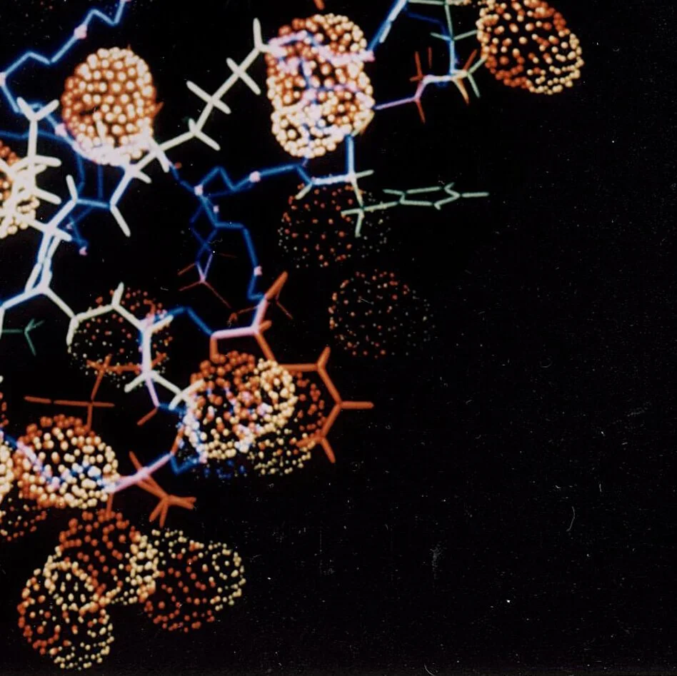 Blue Nyle Therapy Body-Led Healing