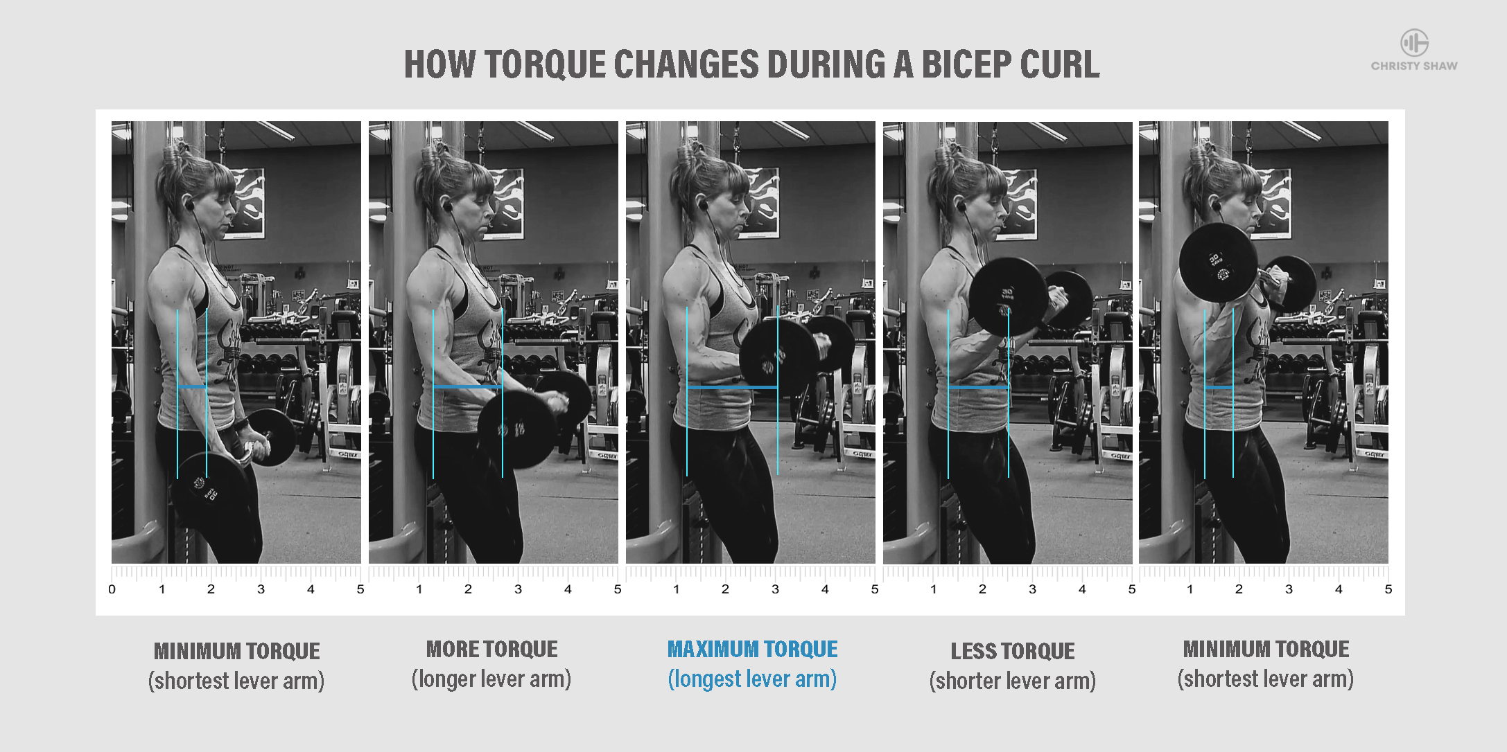 Understanding Torque in Strength Training | Christy Shaw