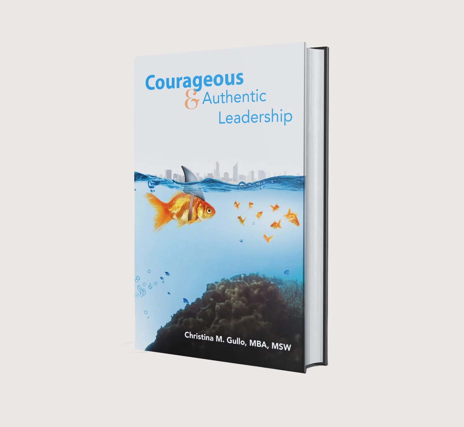 About — True North Executive Solutions