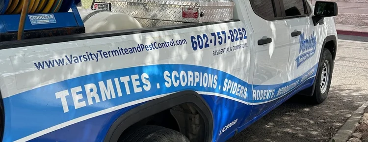 The Difference between Pest Control Companies and Termite Control ...