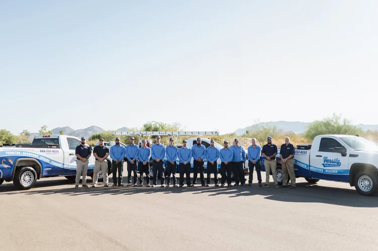 Expert Pest Control & Removal Services in Arizona