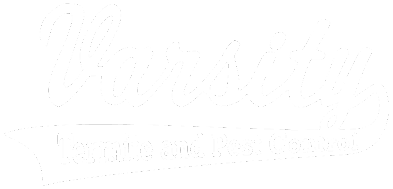 Get Rid of Termites: Three Smells They Hate — Varsity Termite & Pest ...