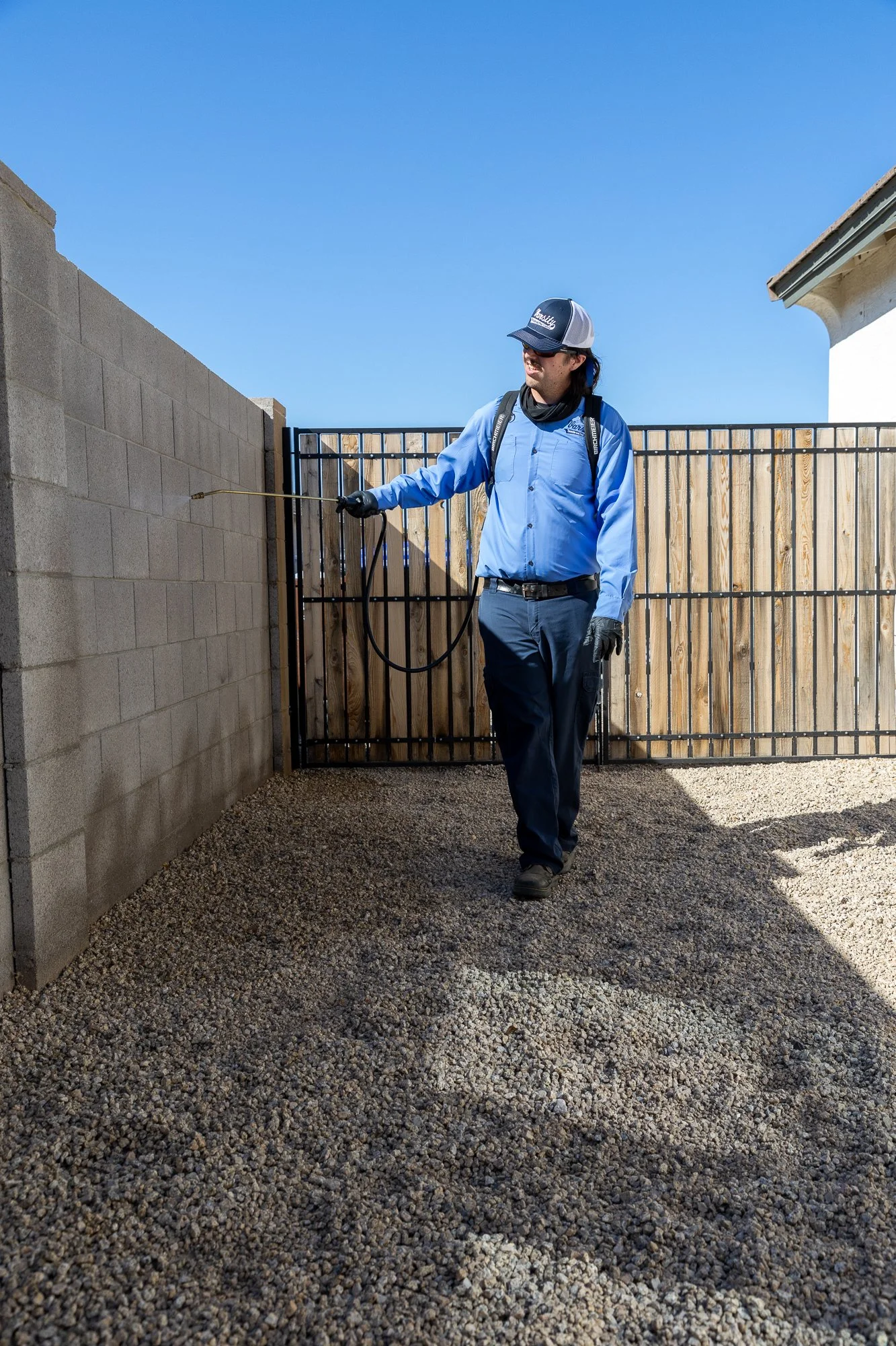 Expert Pest Control & Removal Services in Arizona