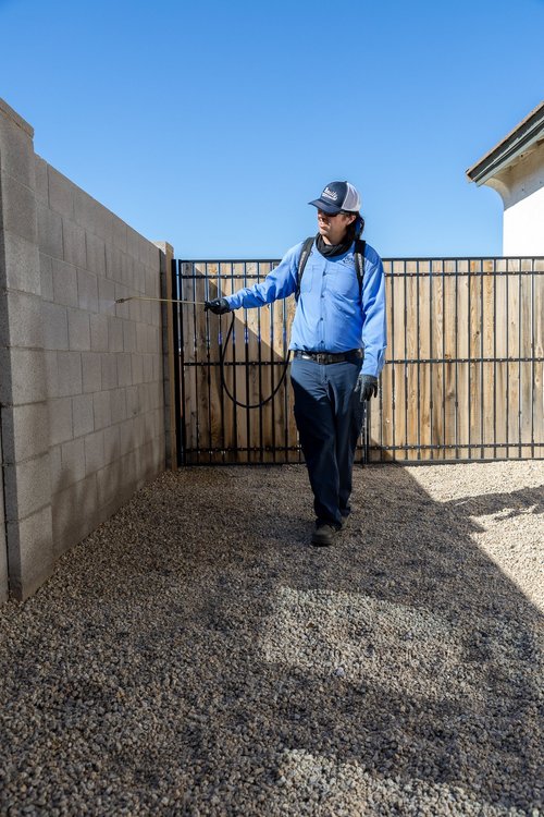 Expert Pest Control & Removal Services in Arizona