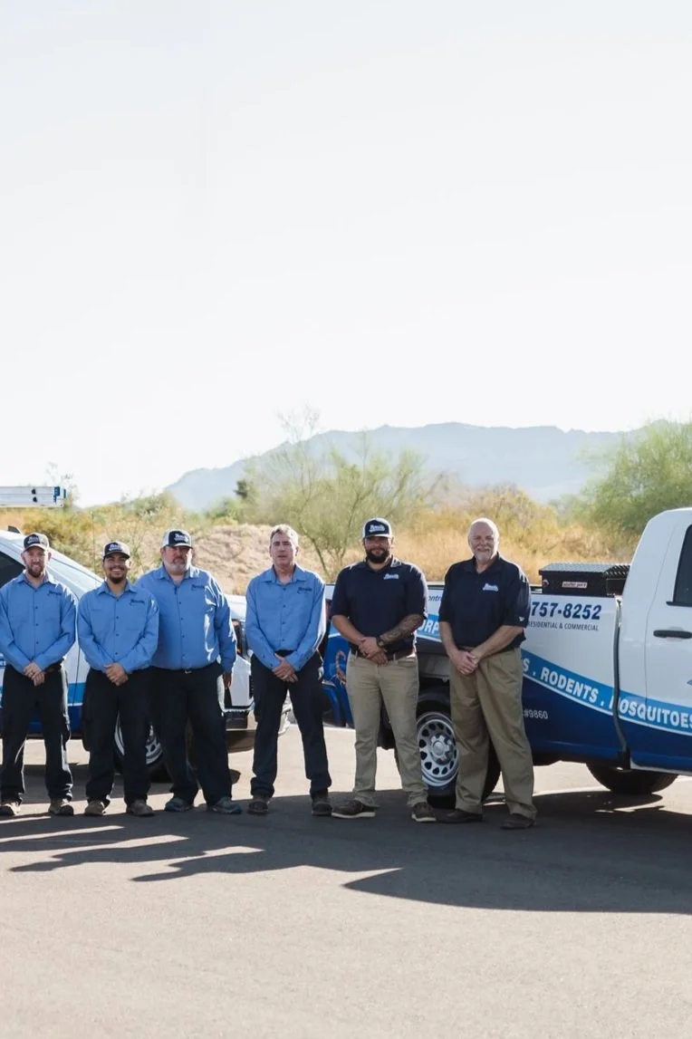 Termite Inspection Arizona | Varsity Termite & Pest Control