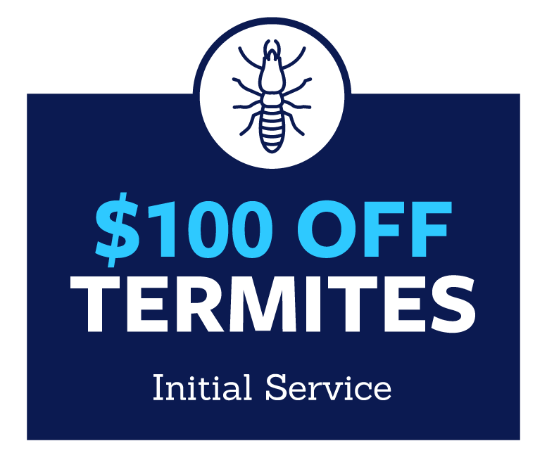 Pest Control in Mesa, AZ | Varsity Termite & Pest Control