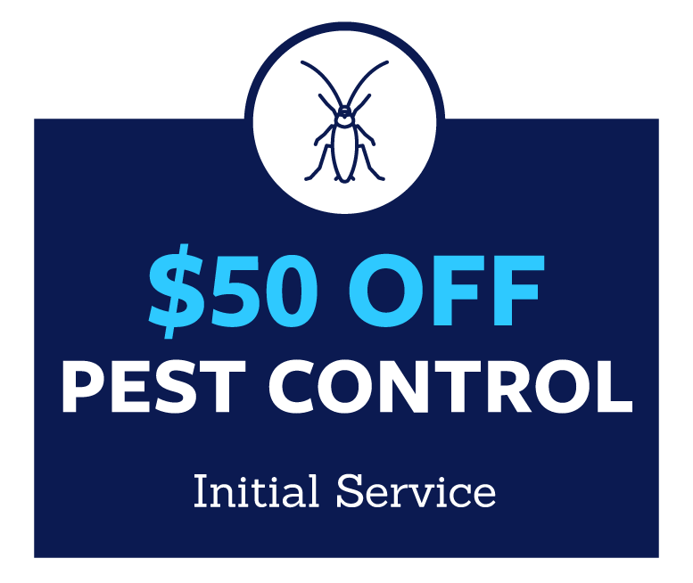Pest Control in Mesa, AZ | Varsity Termite & Pest Control