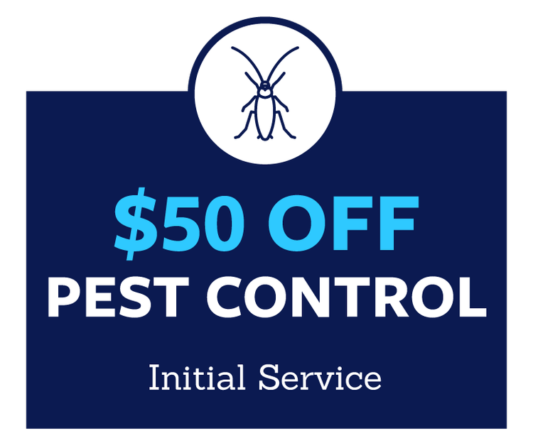 Expert Pest Control & Removal Services in Arizona