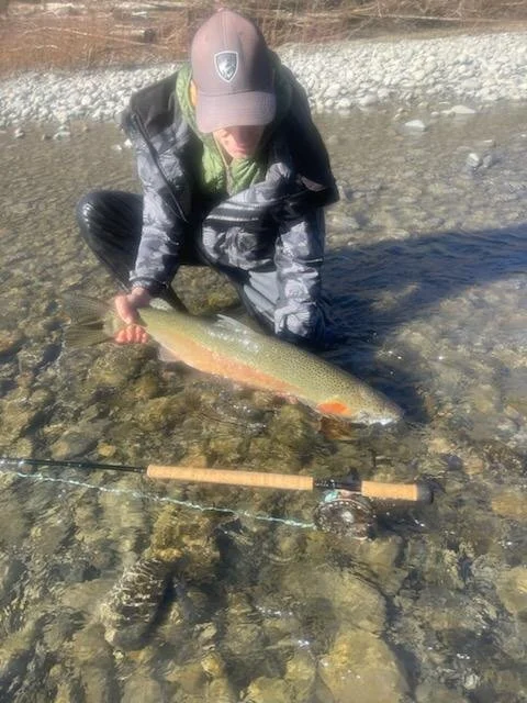 Steelhead Winter Flies: Best Patterns for Cold Water Steelheading ...