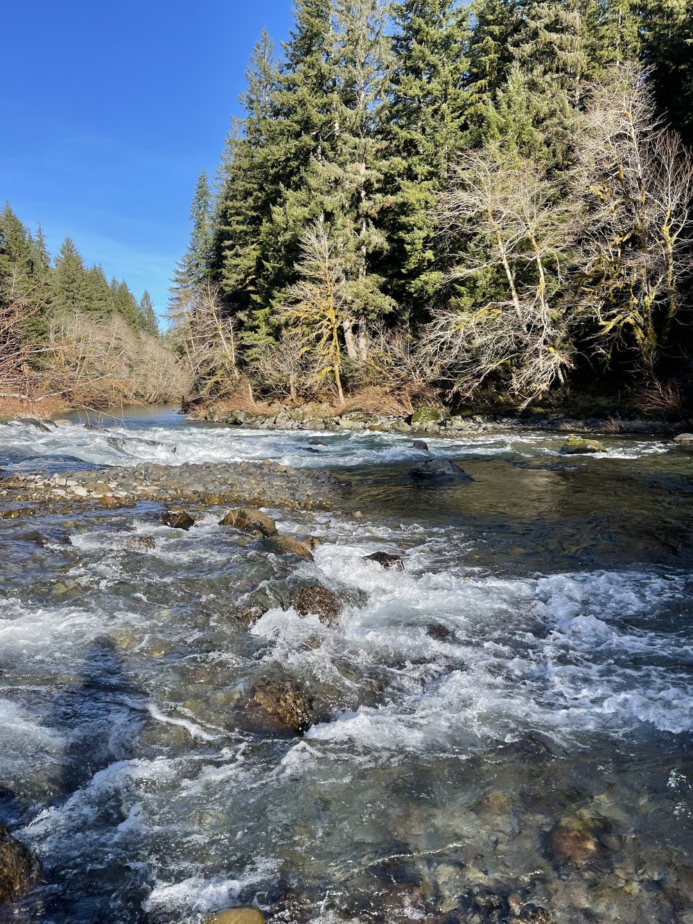 Contact Us | Anadromy Fly Fishing | Washington — Anadromy Fly Fishing