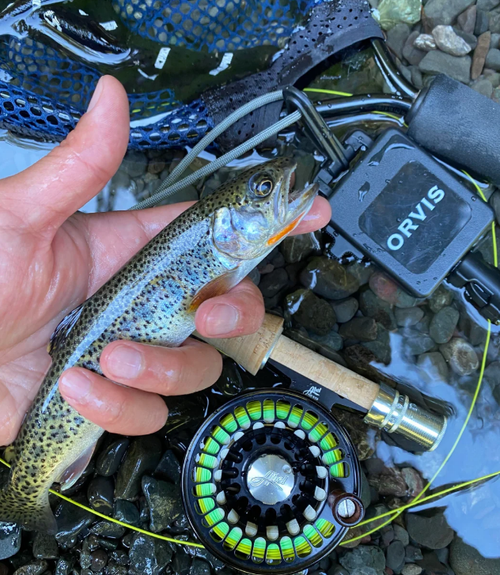 Lake Crescent Fish: Rare Trout Found in One of Washington’s Deepest ...