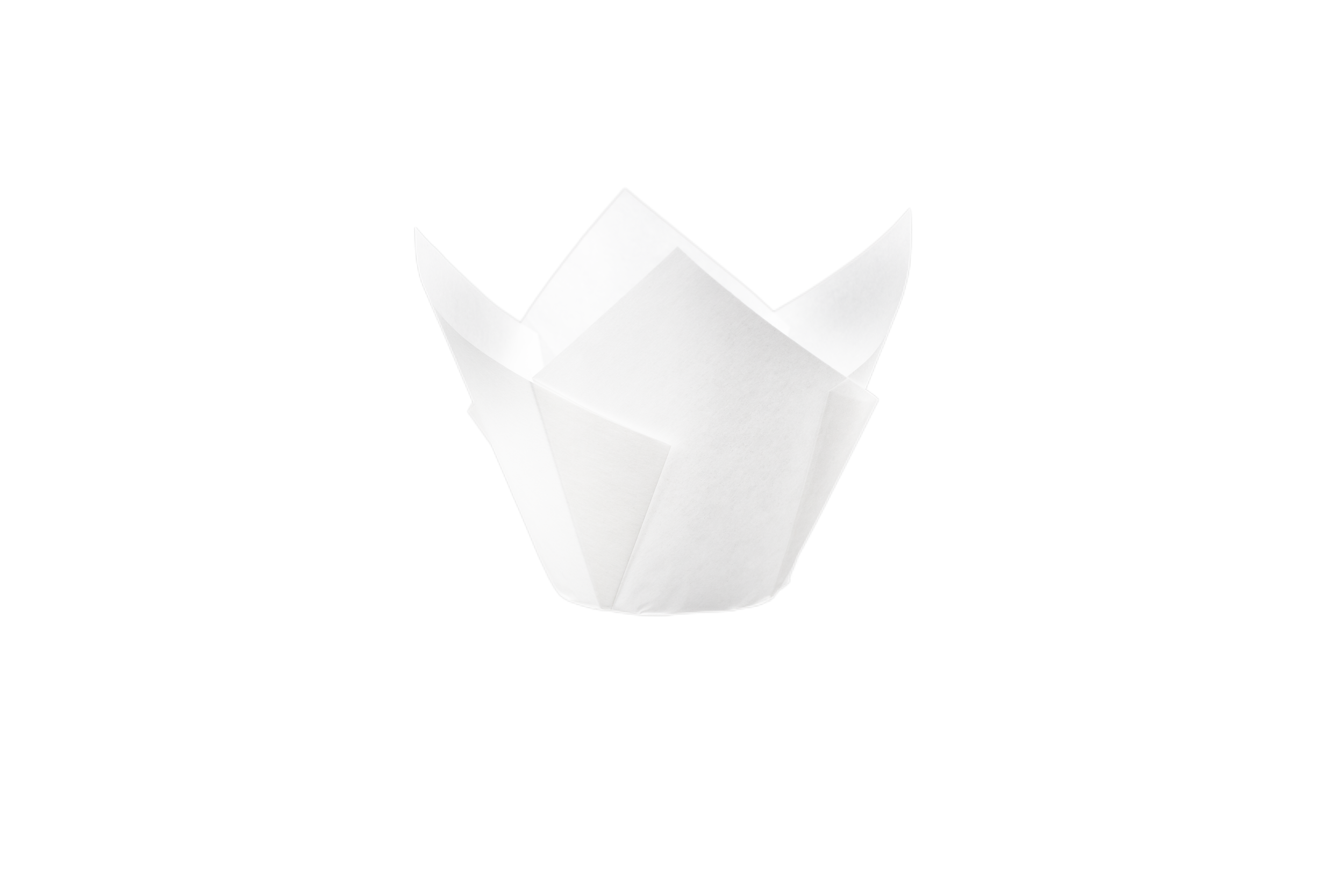 CP50/150 Wide Tulip Cups — Confeta