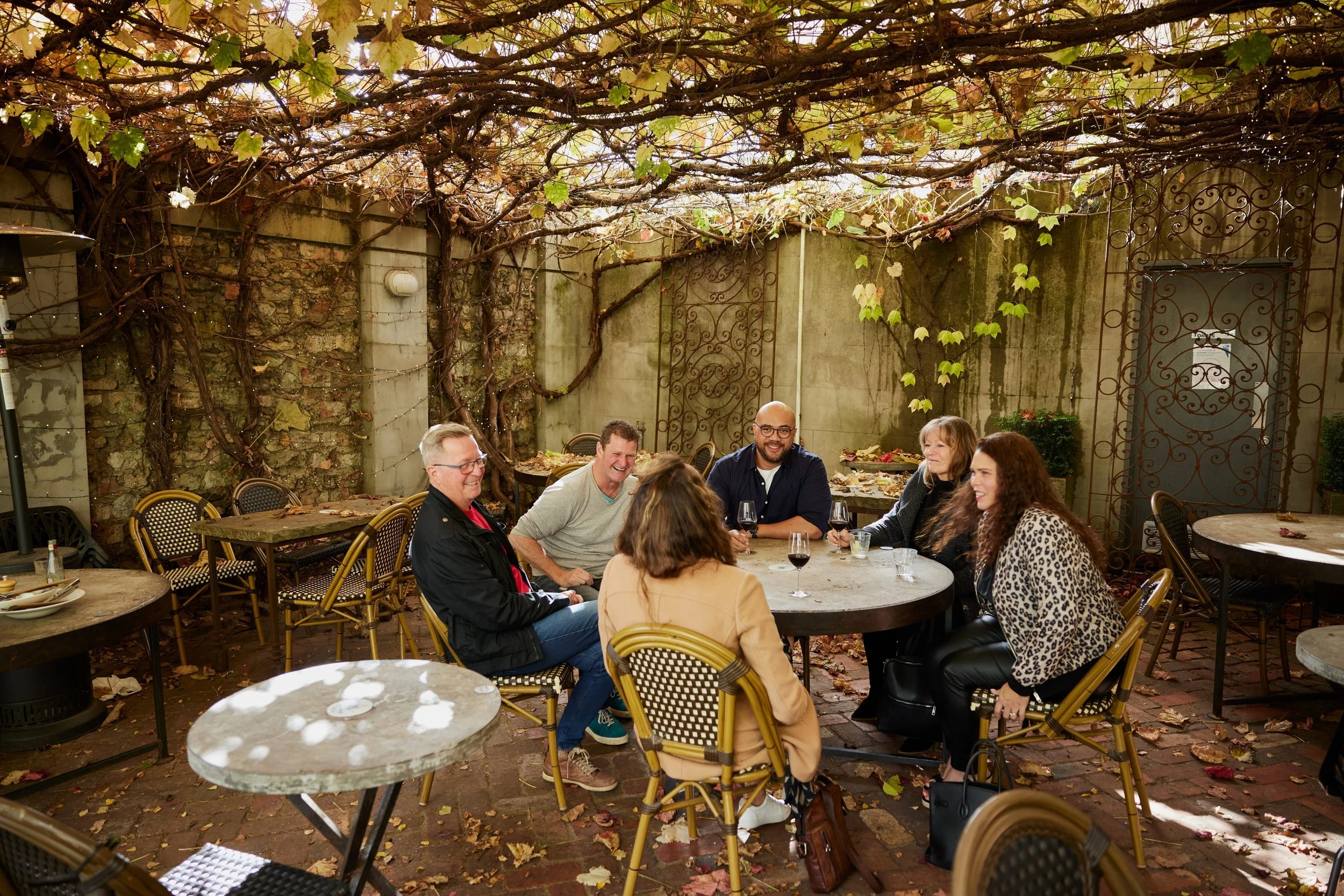 Macedon Ranges Day Tour — Daylesford Wine Tours