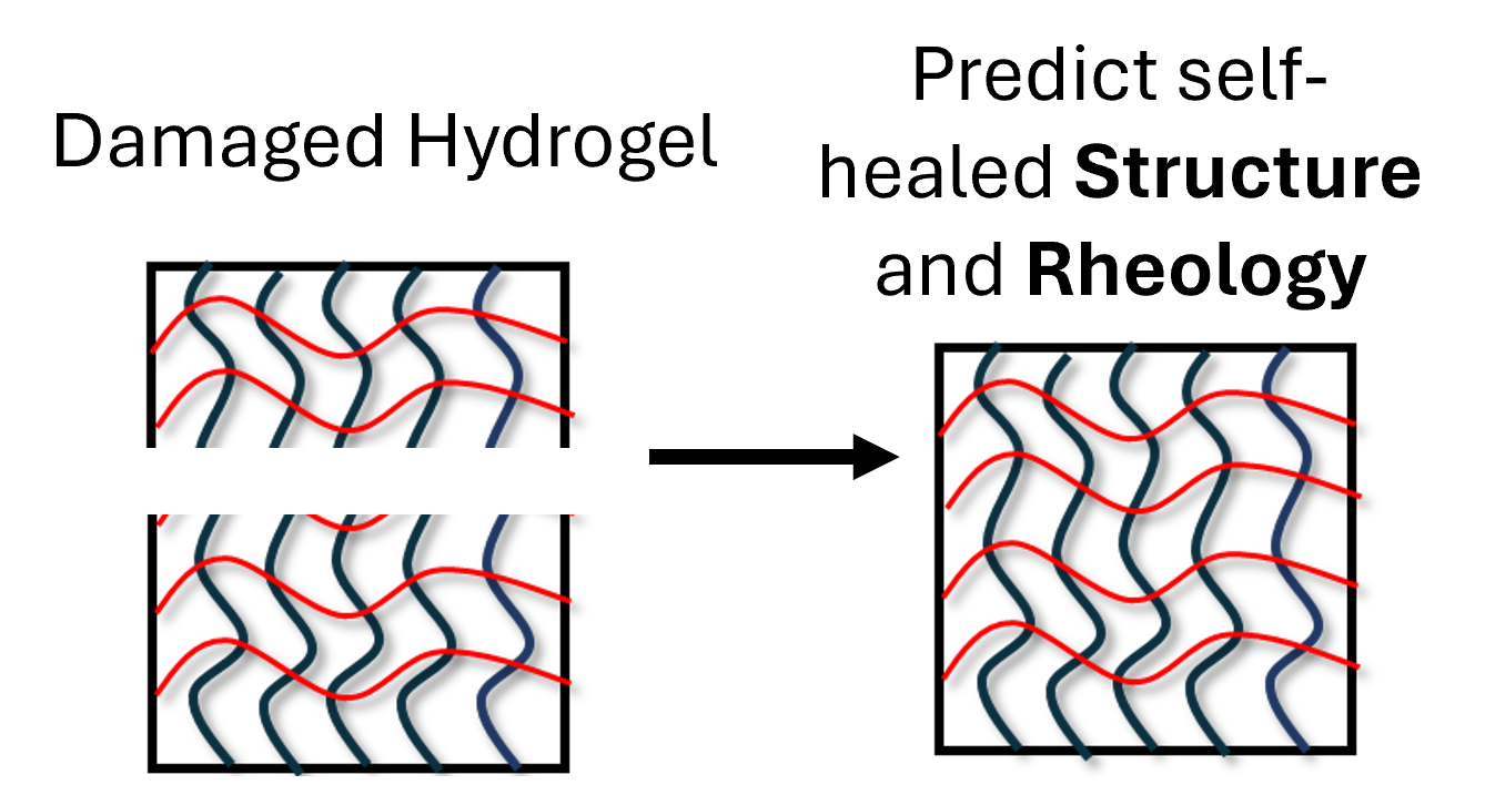 Research | Advance Soft Material Innovation Today — The Taylor Research ...