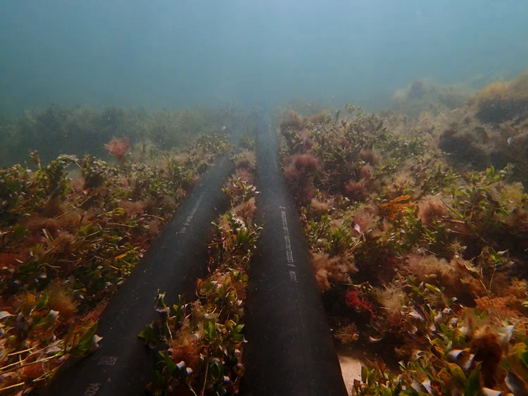 Subsea Pipeline Solutions - For Water Depths up to 100 Meters