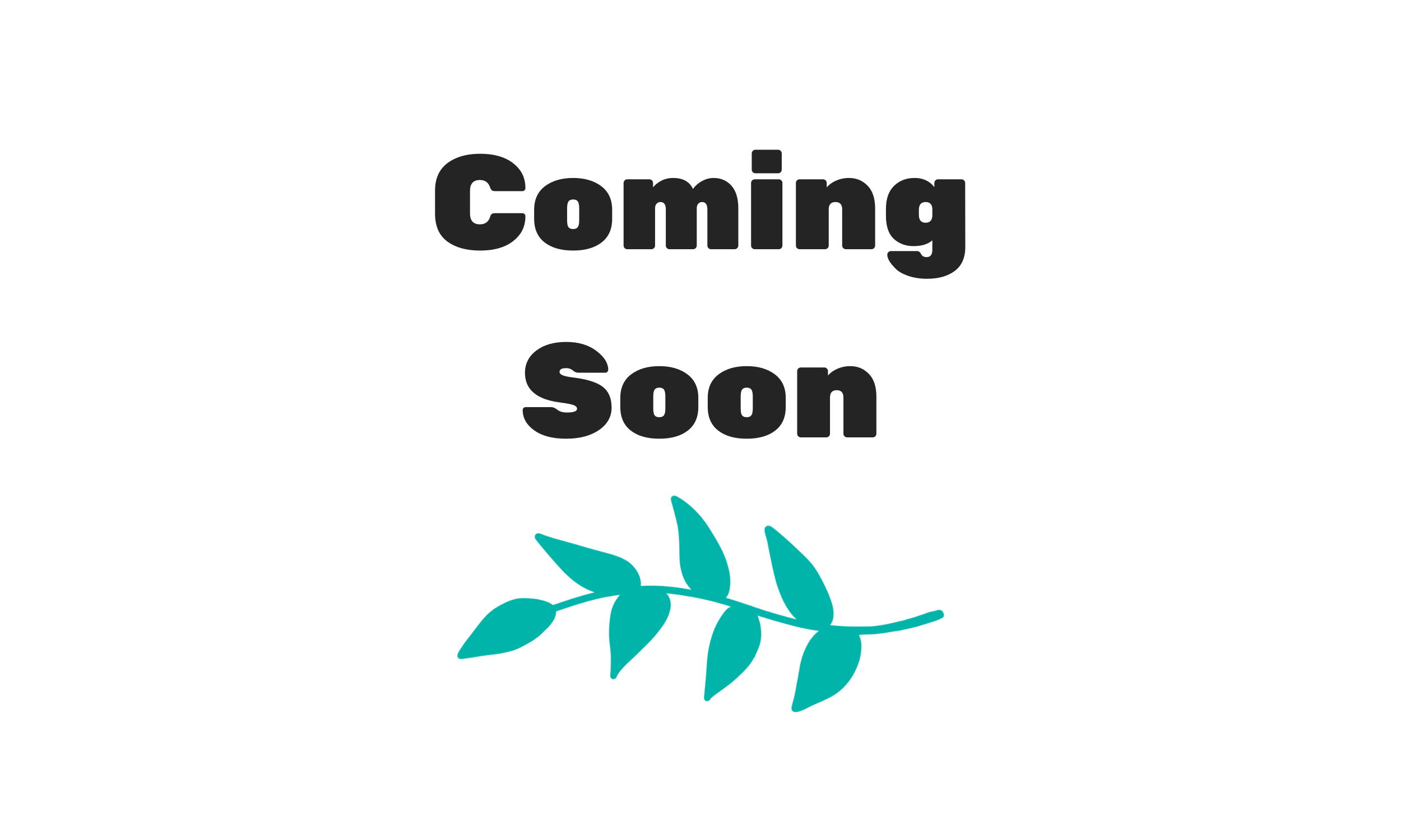 Take Action — Adalah Justice Project