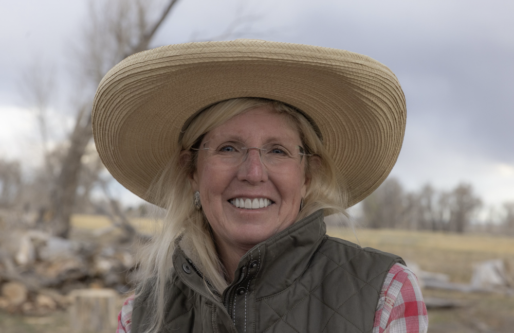 Board — Women Artists of the West - Dedicated to Promoting Women Artists