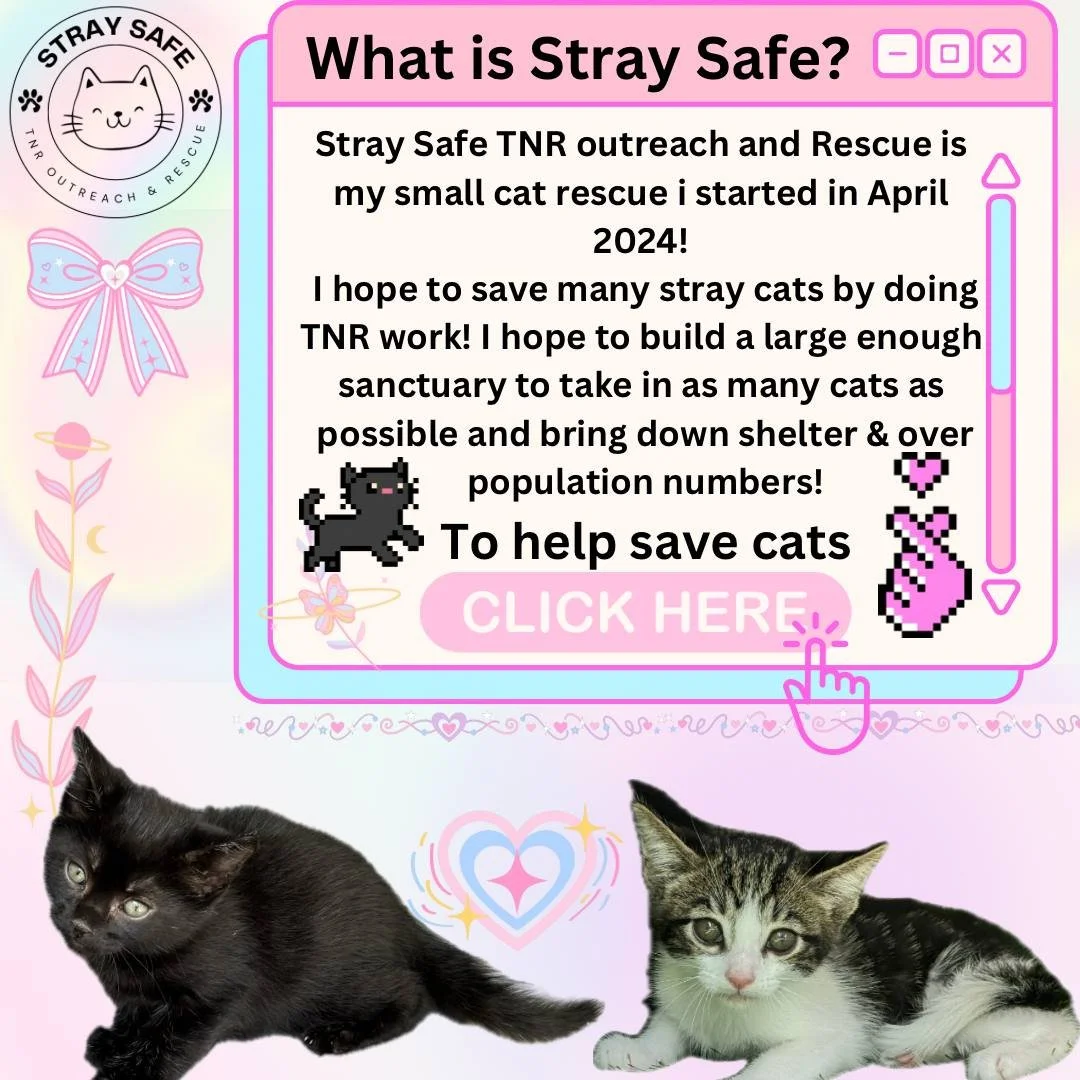 STRAY SAFE — sleebunn