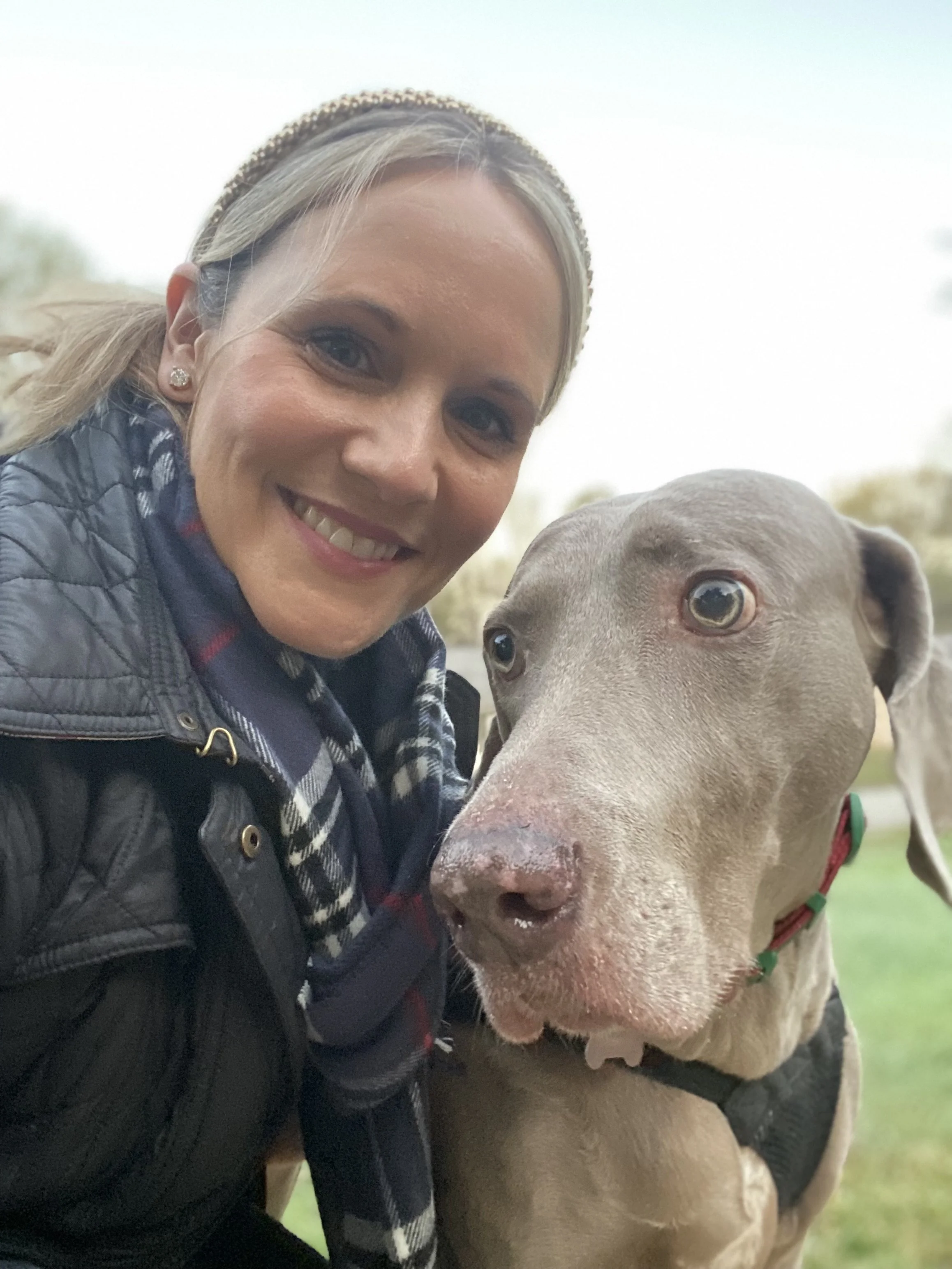 Lily and Max Pet Bakery