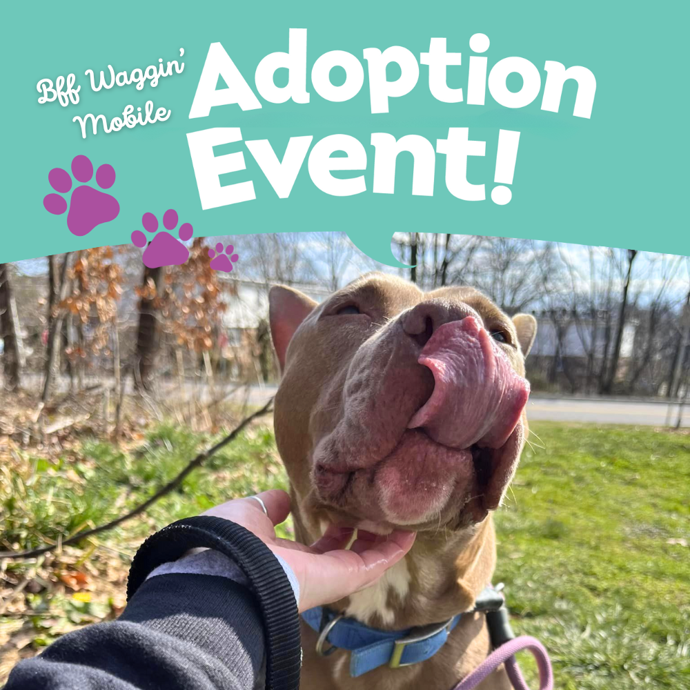 Adoption Events — Baltimore Animal Rescue and Care Shelter (BARCS)