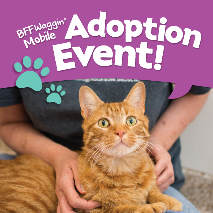 Adoption Events — Baltimore Animal Rescue and Care Shelter (BARCS)