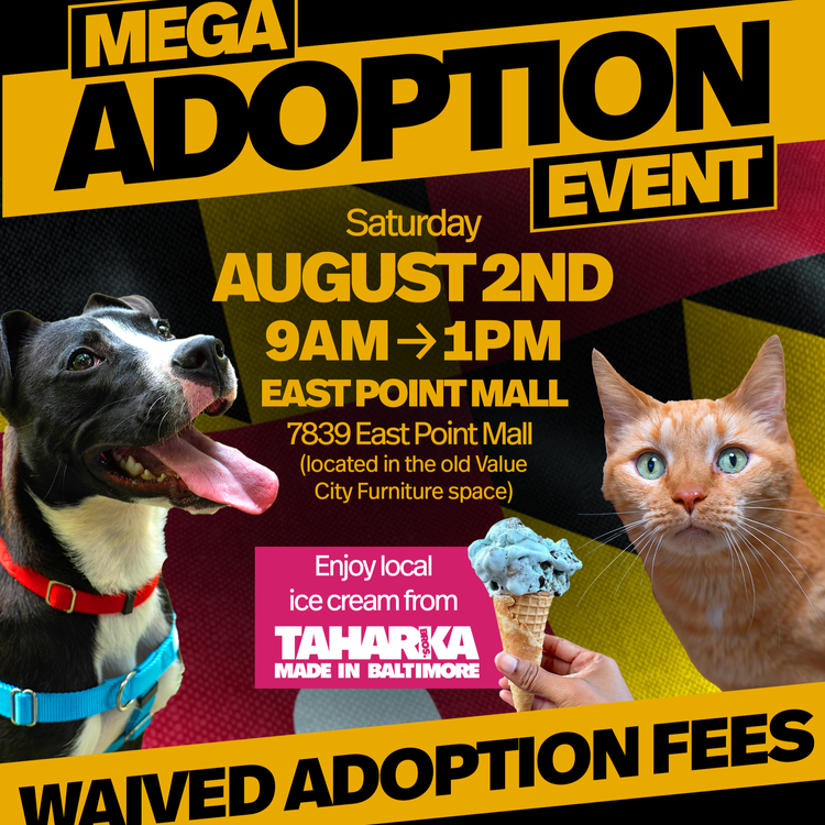 Adoption Events — Baltimore Animal Rescue and Care Shelter (BARCS)