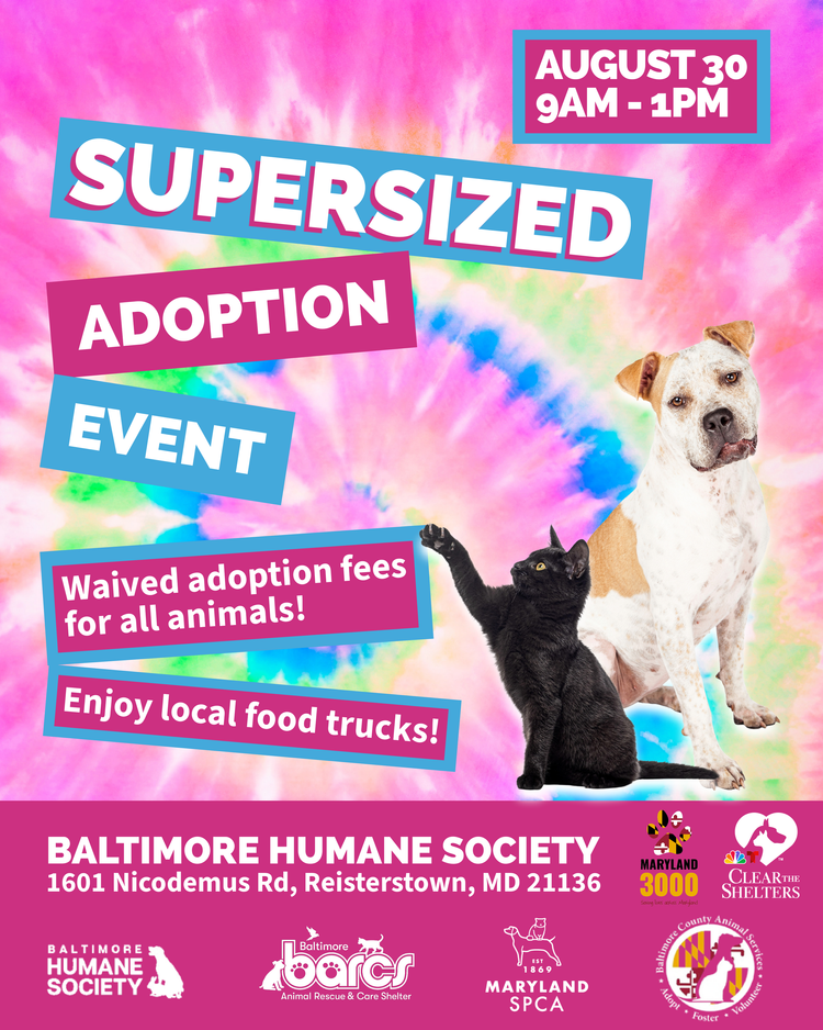 Adoption Events — Baltimore Animal Rescue and Care Shelter (BARCS)