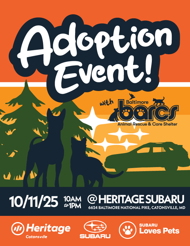 Adoption Events — Baltimore Animal Rescue and Care Shelter (BARCS)