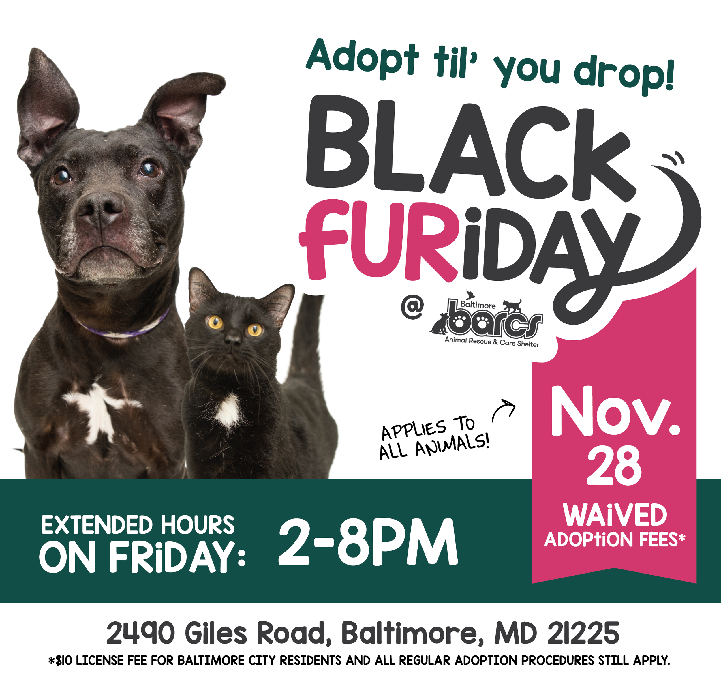 Adoption Events — Baltimore Animal Rescue and Care Shelter (BARCS)