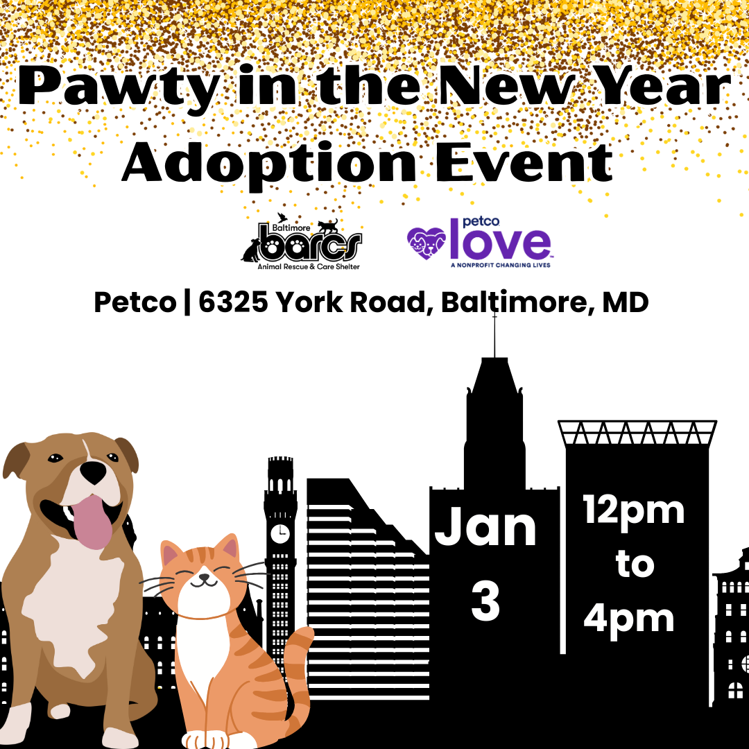Adoption Events — Baltimore Animal Rescue and Care Shelter (BARCS)