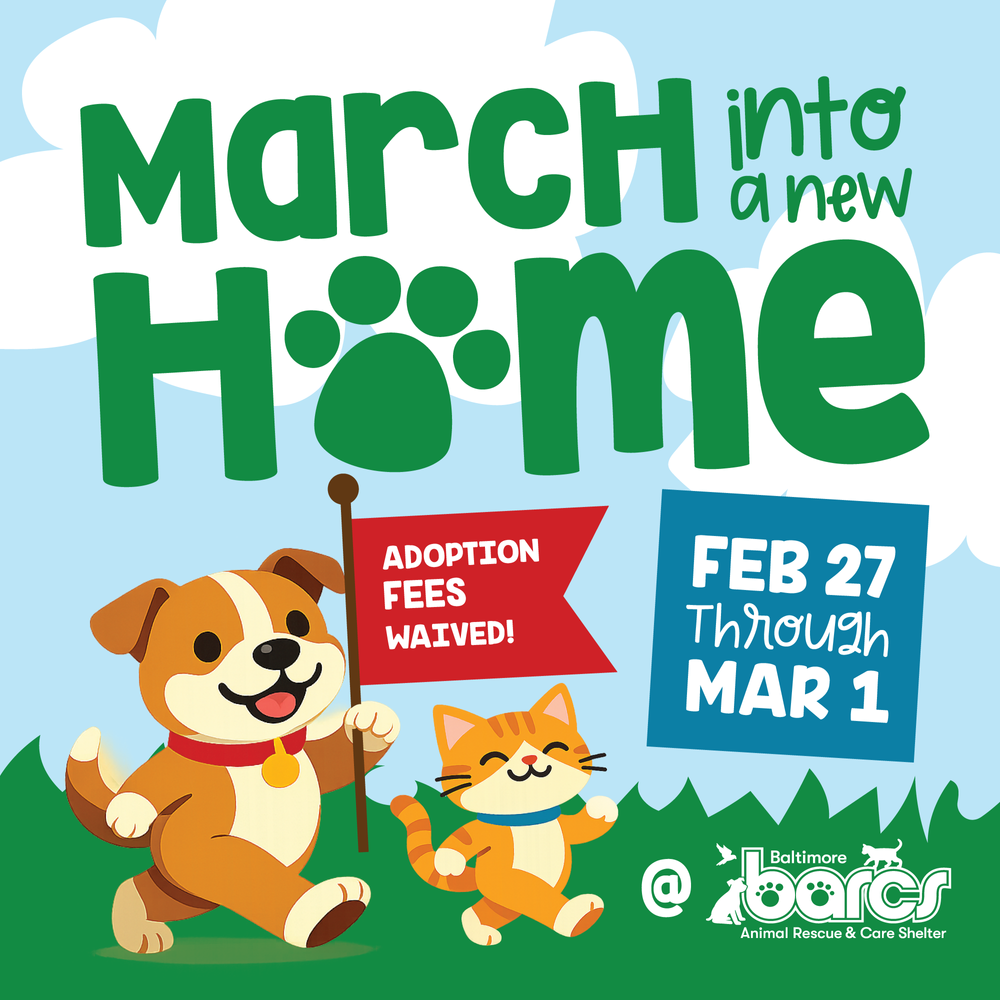 Adoption Events — Baltimore Animal Rescue and Care Shelter (BARCS)