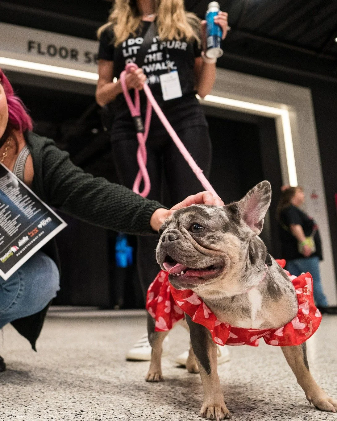 Adoption Events — Baltimore Animal Rescue and Care Shelter (BARCS)