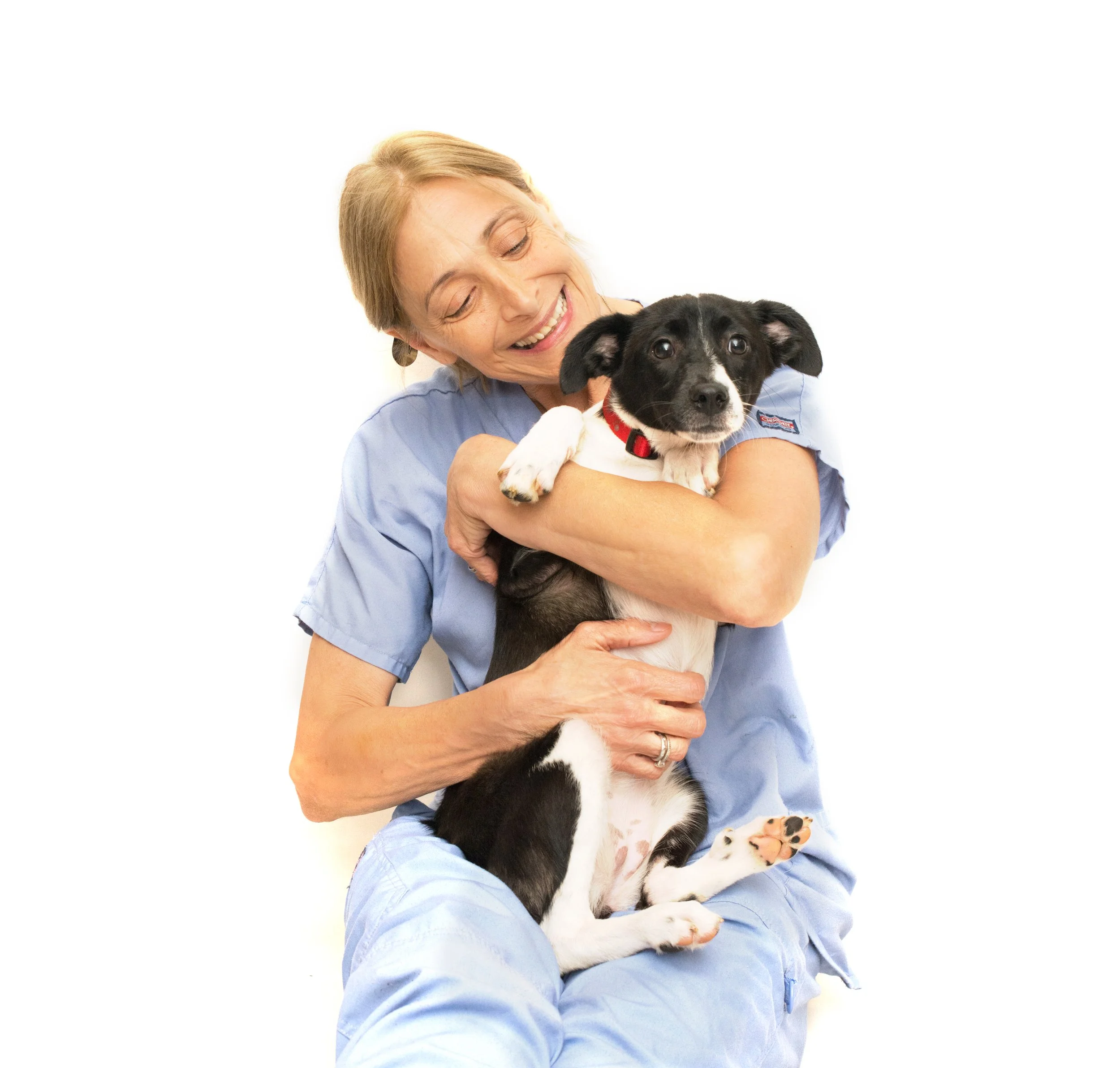 Medical Care Fund — Baltimore Animal Rescue and Care Shelter (BARCS)