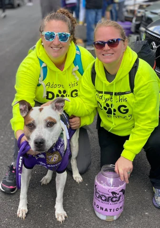 Volunteer — Baltimore Animal Rescue and Care Shelter (BARCS)