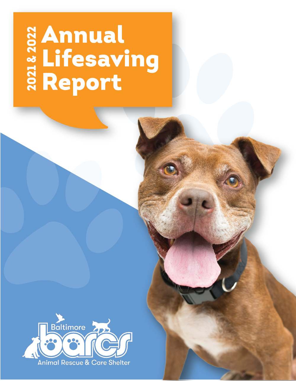 Annual Reports & Statistics — Baltimore Animal Rescue and Care Shelter ...
