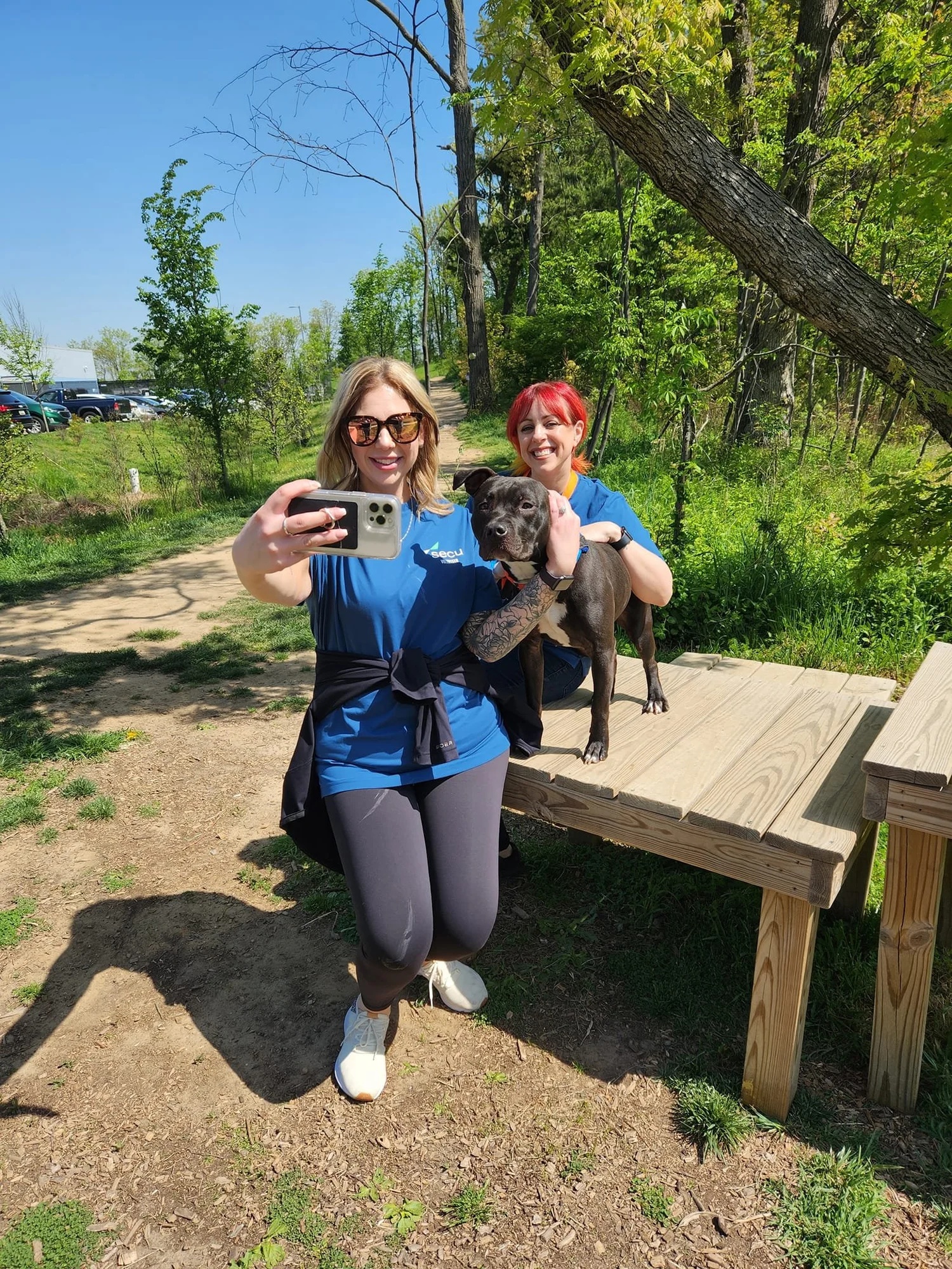 Group + Workplace Volunteering — Baltimore Animal Rescue and Care ...