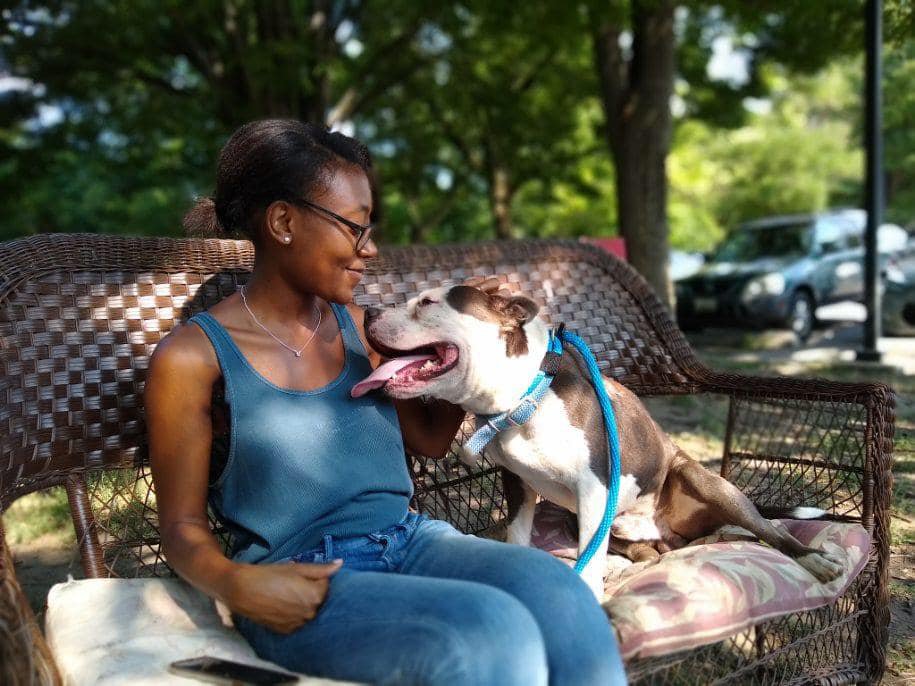 Baltimore Animal Rescue and Care Shelter (BARCS)