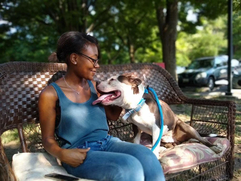 Baltimore Animal Rescue and Care Shelter (BARCS)