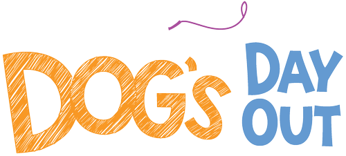 Dog's Day Out Program — Baltimore Animal Rescue and Care Shelter (BARCS)