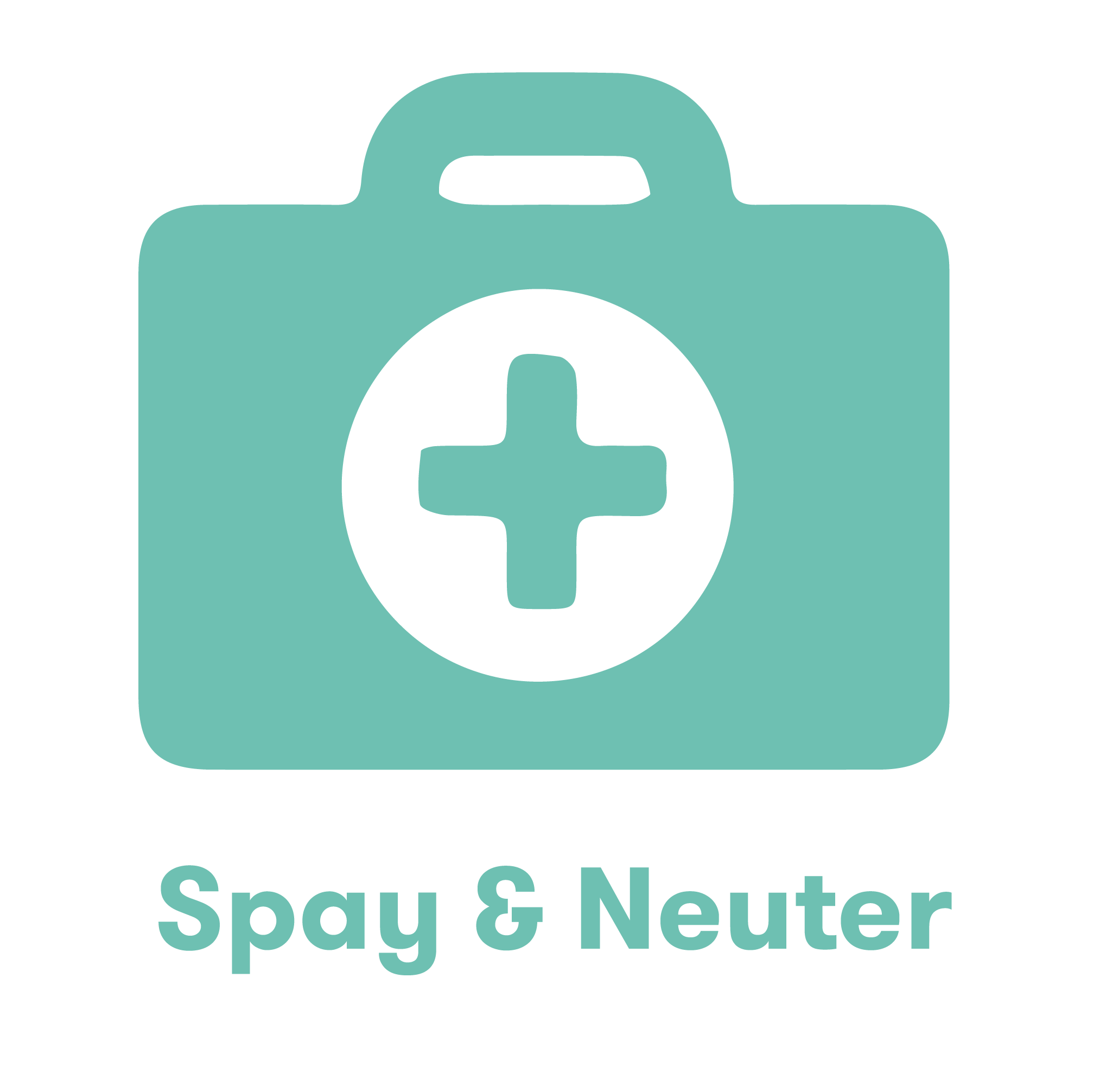 Spay and Neuter — Baltimore Animal Rescue and Care Shelter (BARCS)