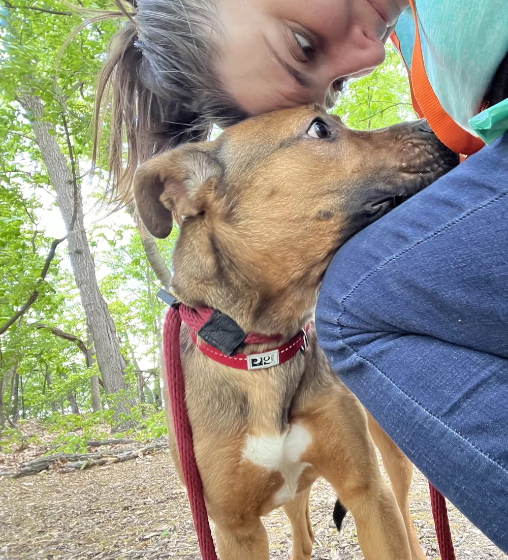 Volunteer — Baltimore Animal Rescue and Care Shelter (BARCS)